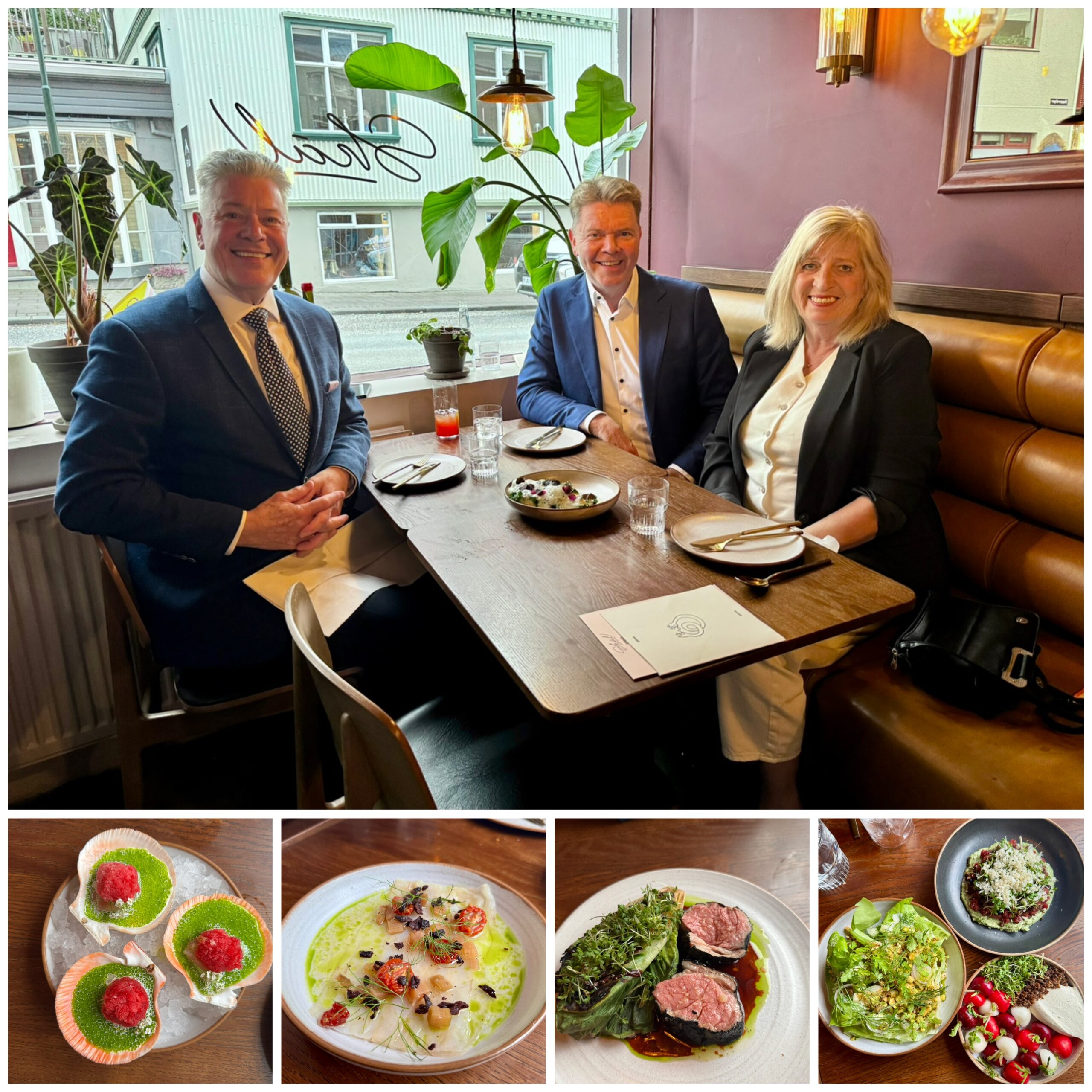 Dinner at Skál! – A Cozy Reykjavík Gem with a Michelin Bib Gourmand ...